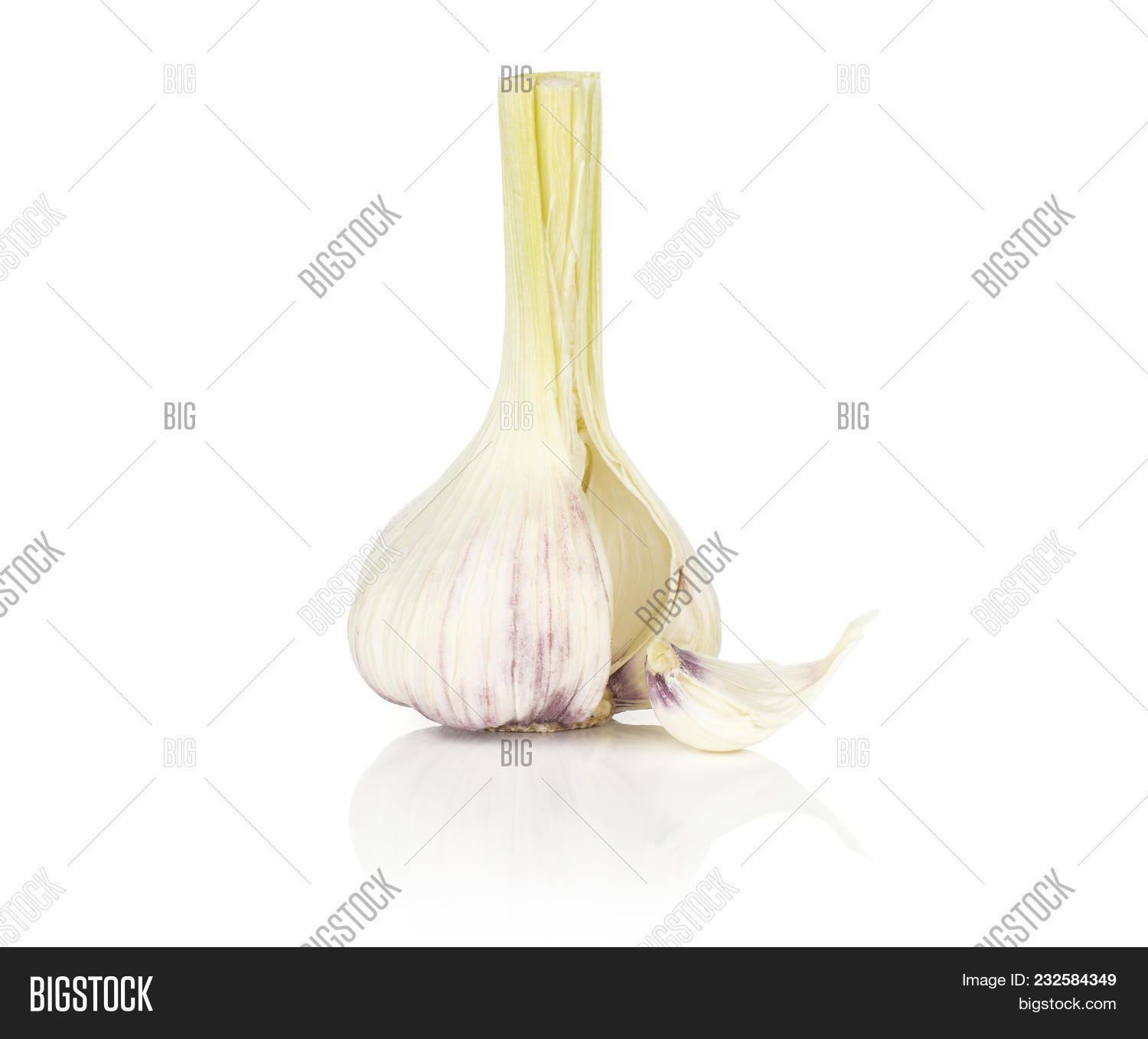 Young Garlic Open Image & Photo (Free Trial) | Bigstock