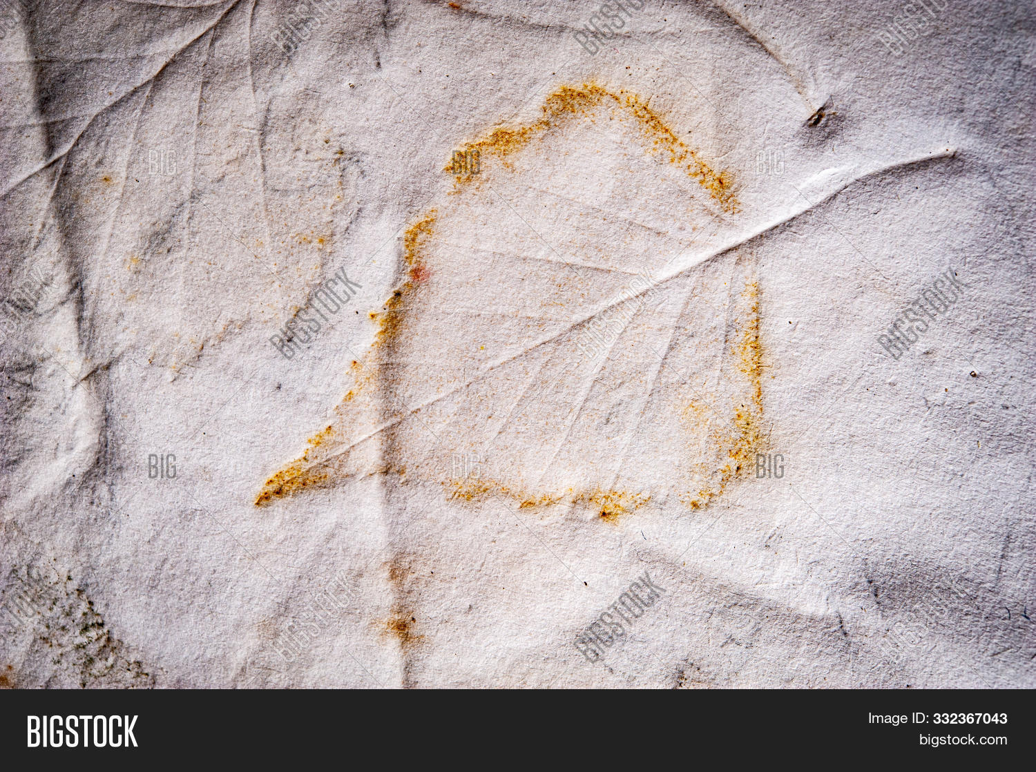 Real Texture Prints Image & Photo (Free Trial) | Bigstock