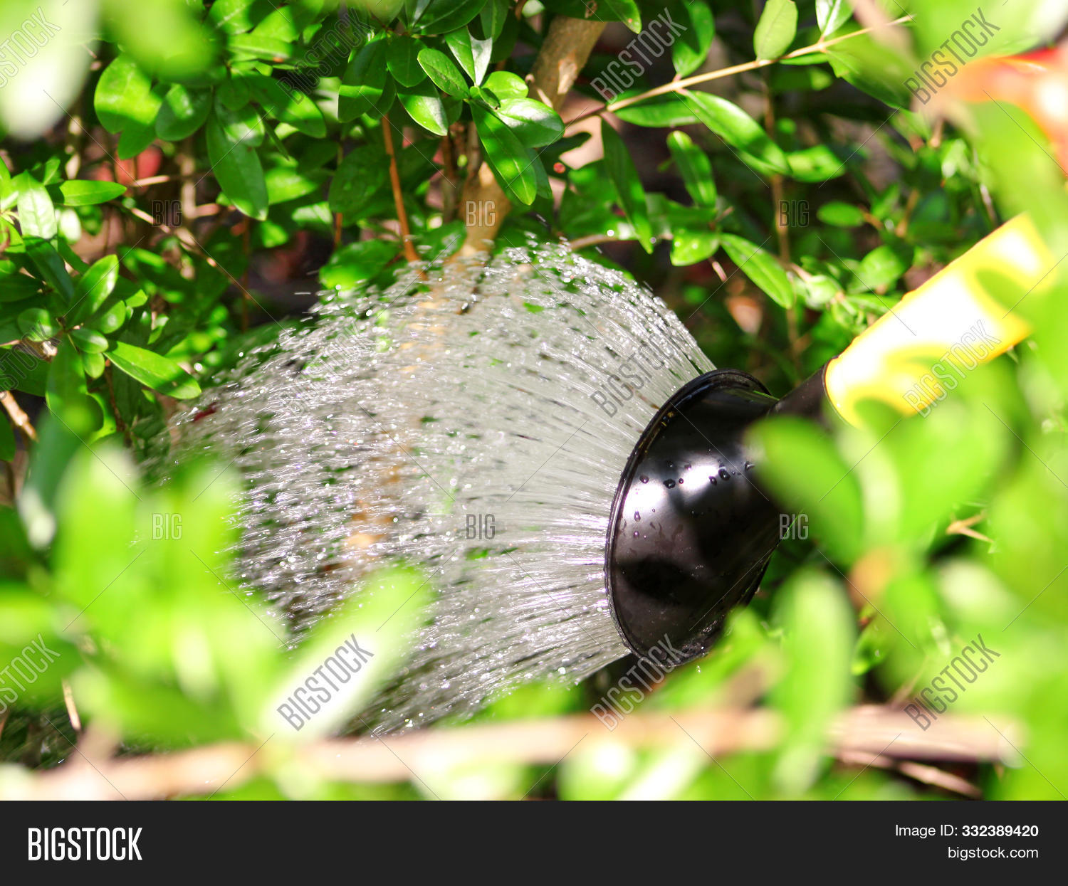 Watering Flowers Image & Photo (Free Trial) | Bigstock