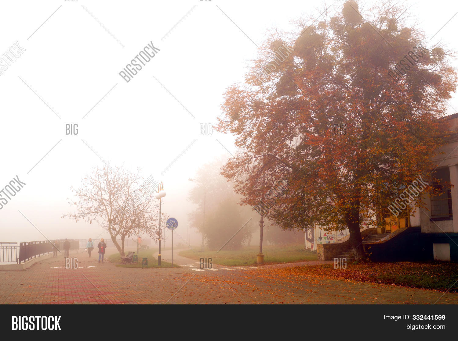 Misty Waterfront. Image & Photo (Free Trial) | Bigstock