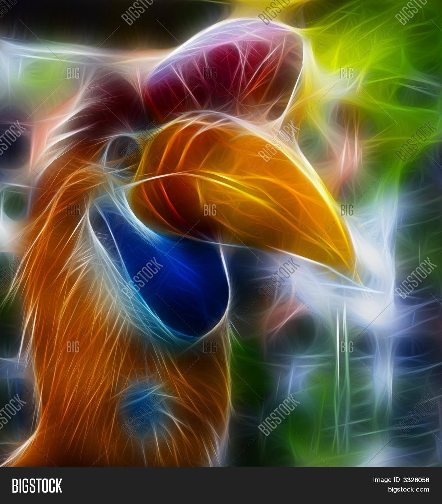 Bird Of Paradise Fractal