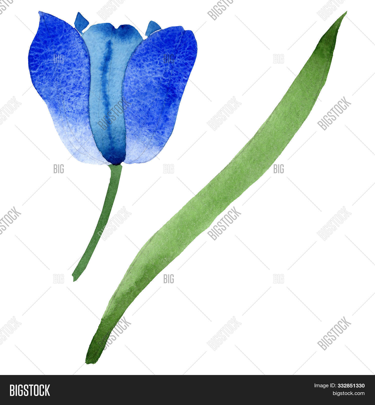 Blue Tulip Floral Image & Photo (Free Trial) | Bigstock