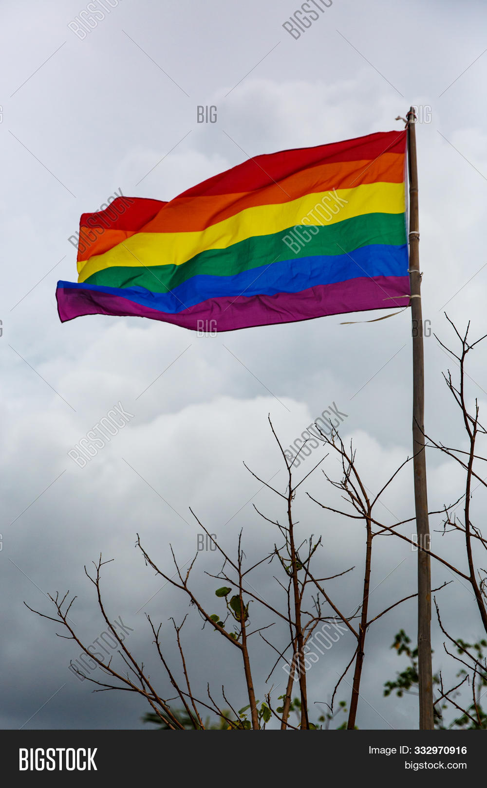 Gay Flag Waving Pride Image & Photo (Free Trial) | Bigstock