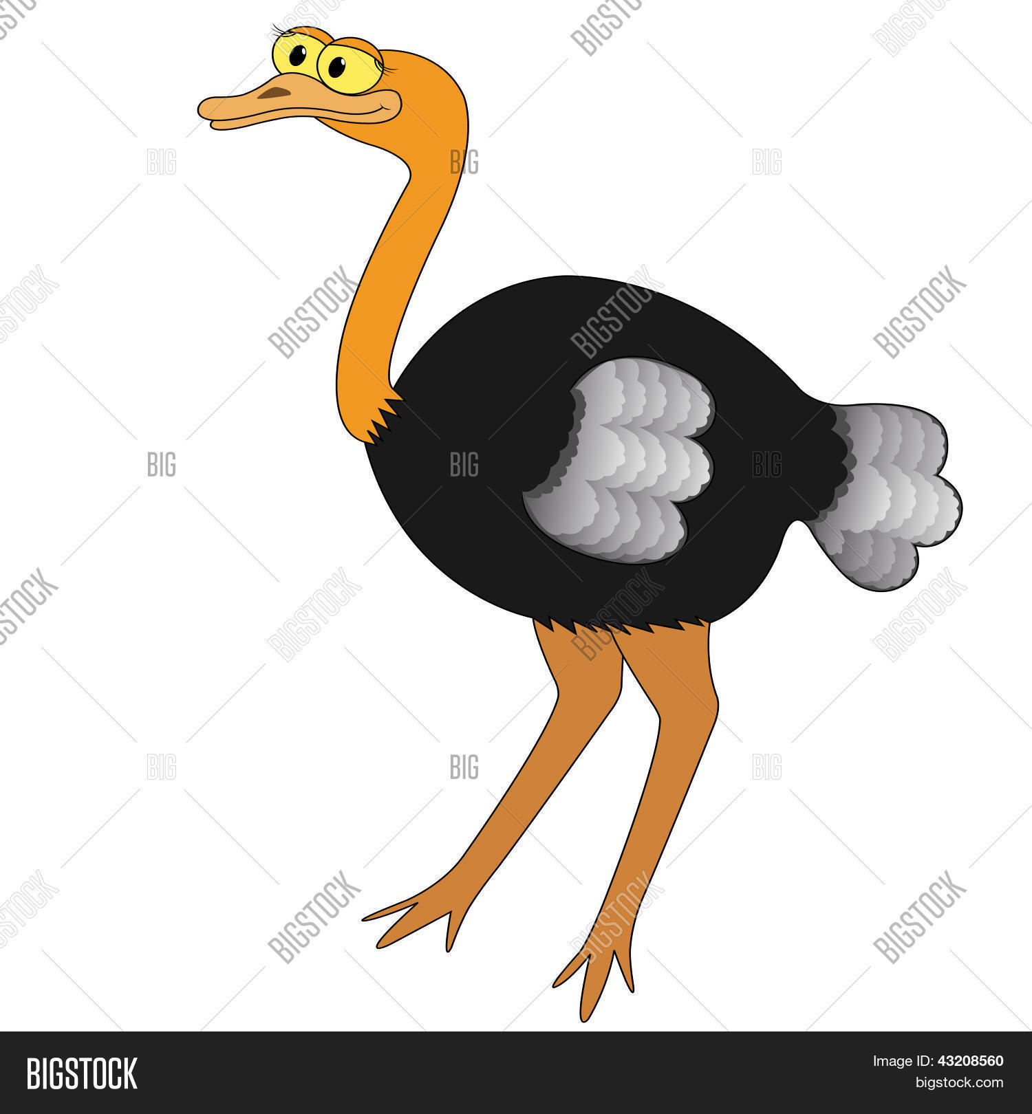 Ostrich Cartoon Vector & Photo (Free Trial) | Bigstock
