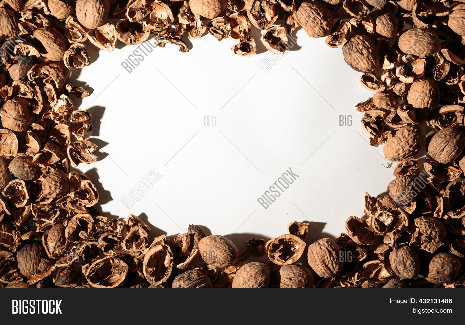 Empty Walnut Shell Image & Photo (Free Trial) | Bigstock