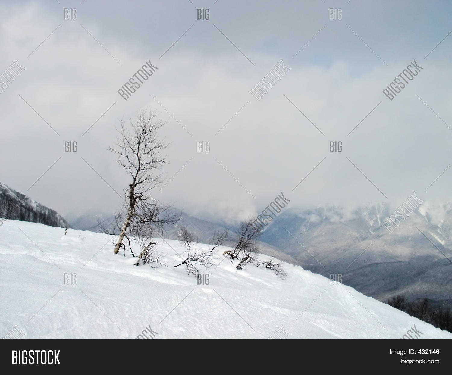 Deep Snow Image & Photo (Free Trial) | Bigstock