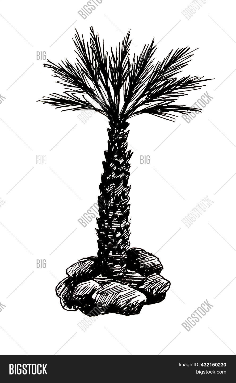 Hand Drawn Ink Image & Photo (Free Trial) | Bigstock