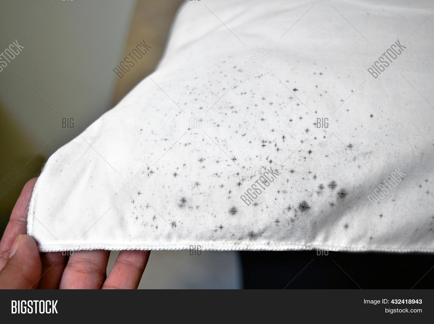 Mold On Pillow. Mold Image & Photo (Free Trial) | Bigstock
