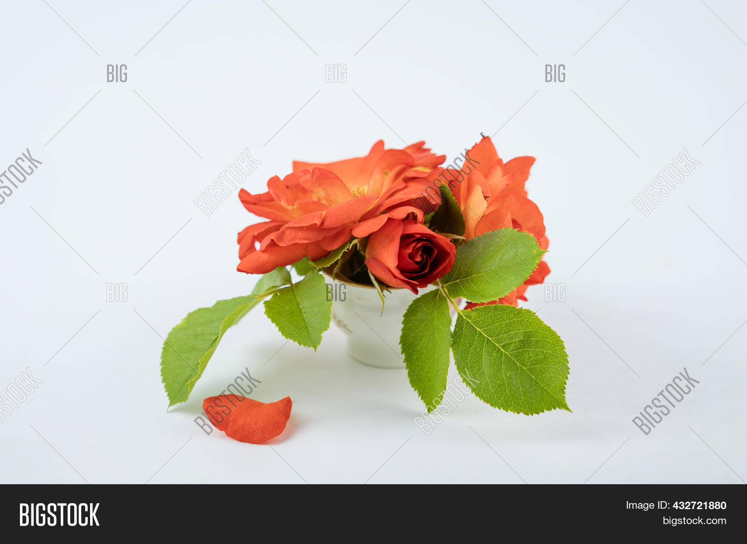 Cut Pink Rose Flowers Image & Photo (Free Trial) | Bigstock