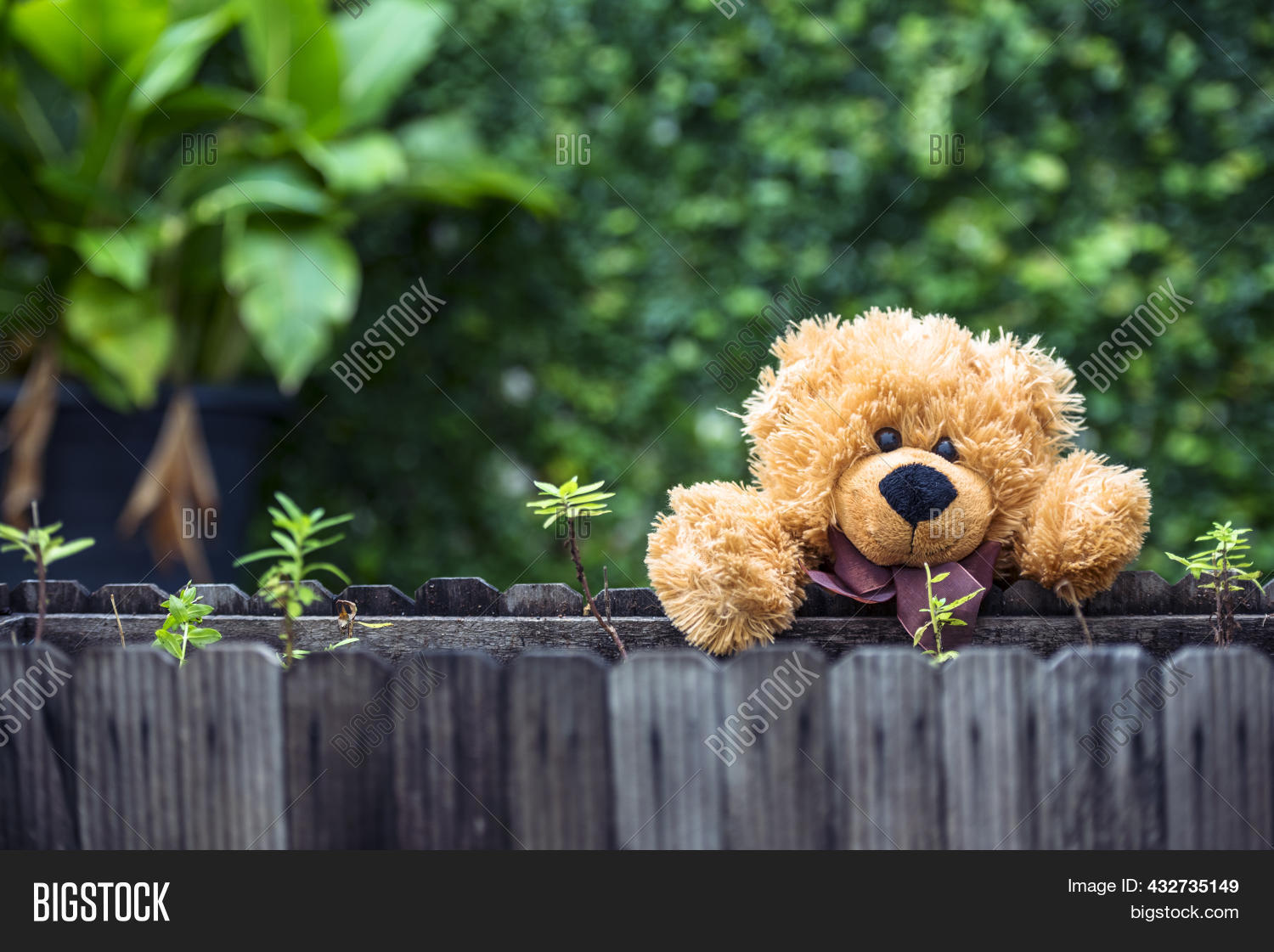 Smiling Teddy Bear Image & Photo (Free Trial) | Bigstock