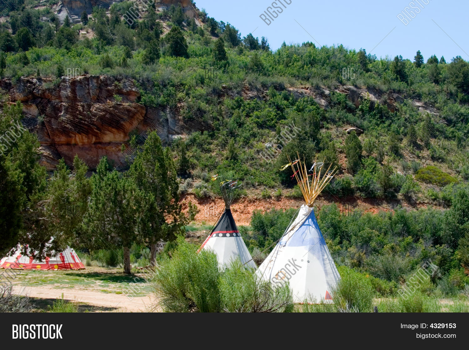 Tee Pees Image & Photo (Free Trial) | Bigstock