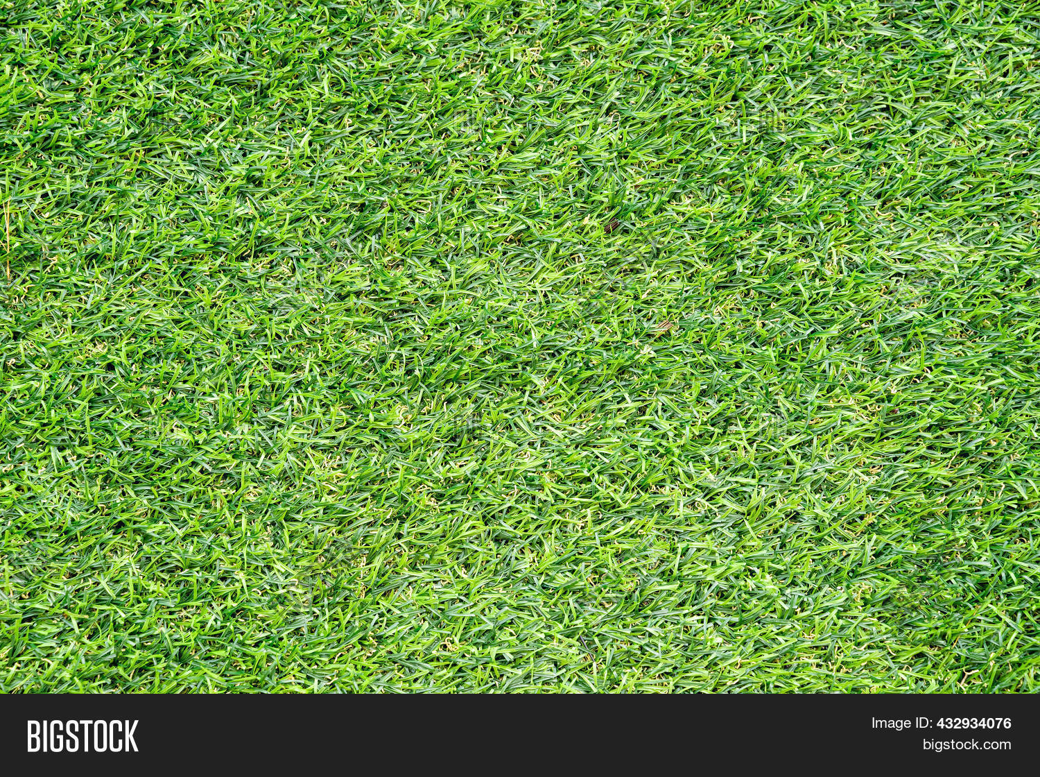 Green Grass Texture Image & Photo (Free Trial) | Bigstock