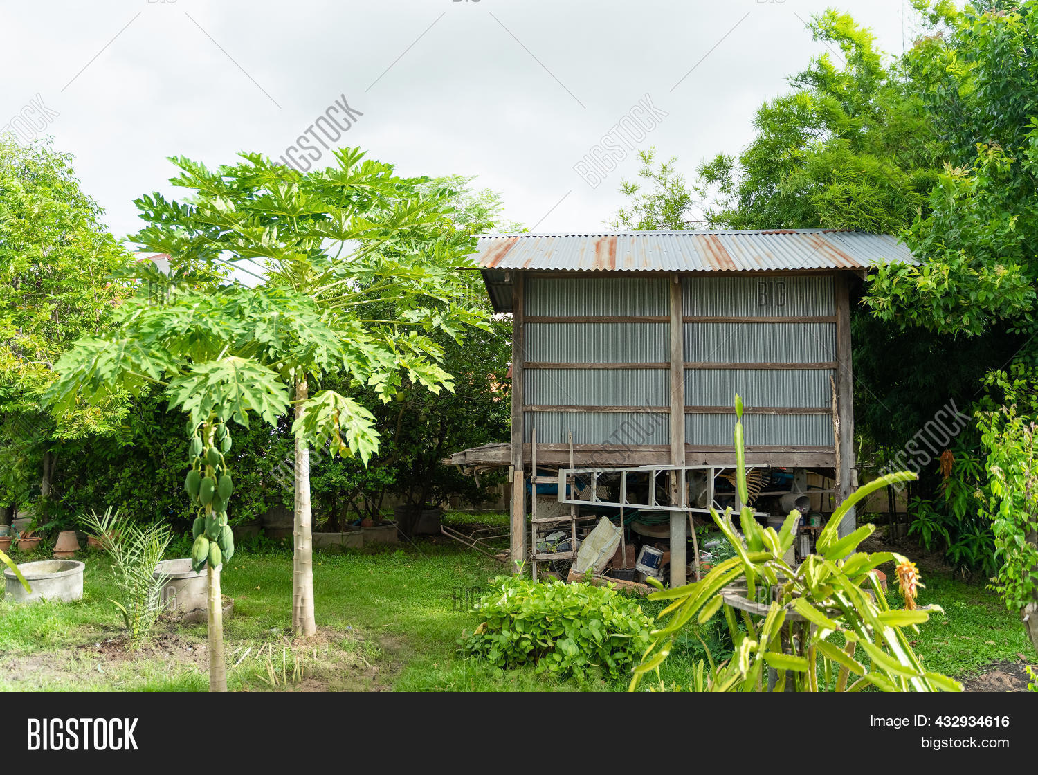 Rice Barn Storage Image & Photo (Free Trial) | Bigstock