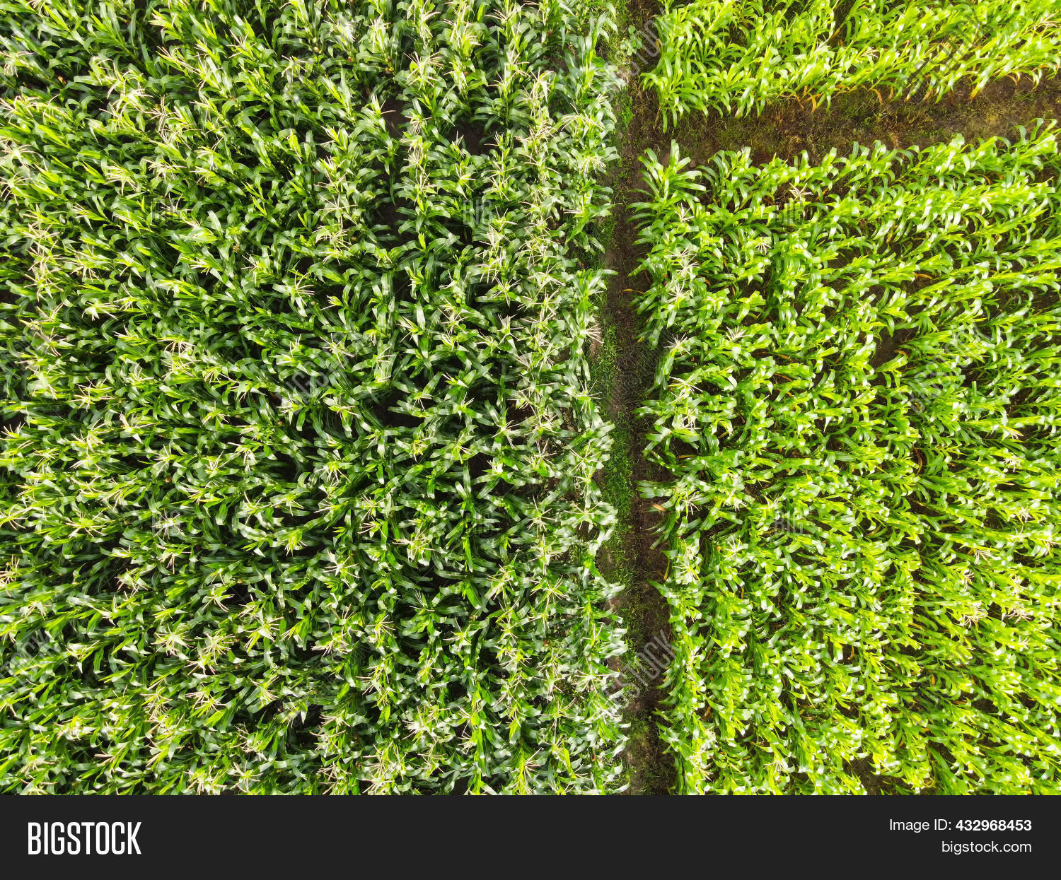 Aerial View Field Image & Photo (Free Trial) | Bigstock