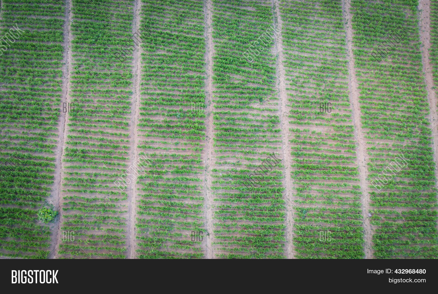 Aerial View Plowed Image & Photo (Free Trial) | Bigstock