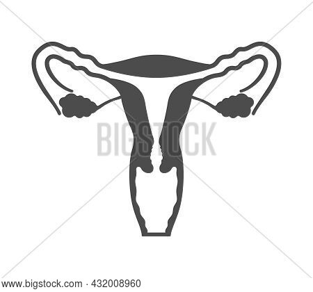 Female Human Vector & Photo (Free Trial) | Bigstock