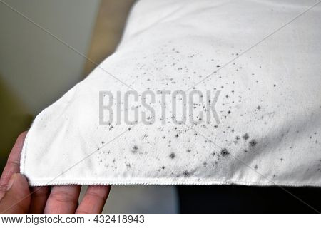 Mold On Pillow. Mold Image & Photo (Free Trial) | Bigstock