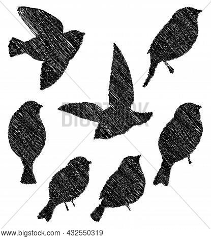 Scribble Drawings Set Vector & Photo (Free Trial) | Bigstock