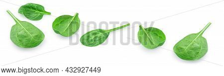 Flying Spinach Leaves Image & Photo (Free Trial) | Bigstock
