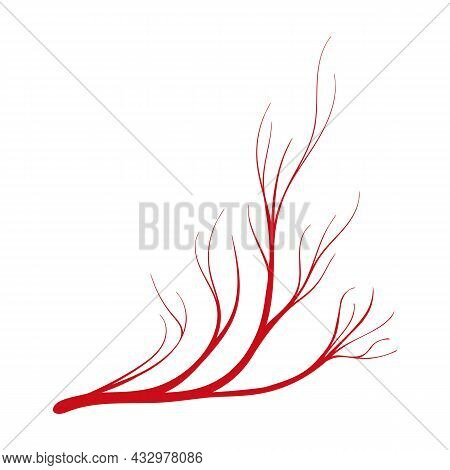 Vein Human Vector Vector & Photo (Free Trial) | Bigstock