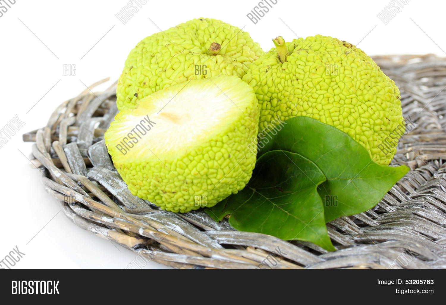 Osage Orange Fruits ( Image & Photo (Free Trial) | Bigstock
