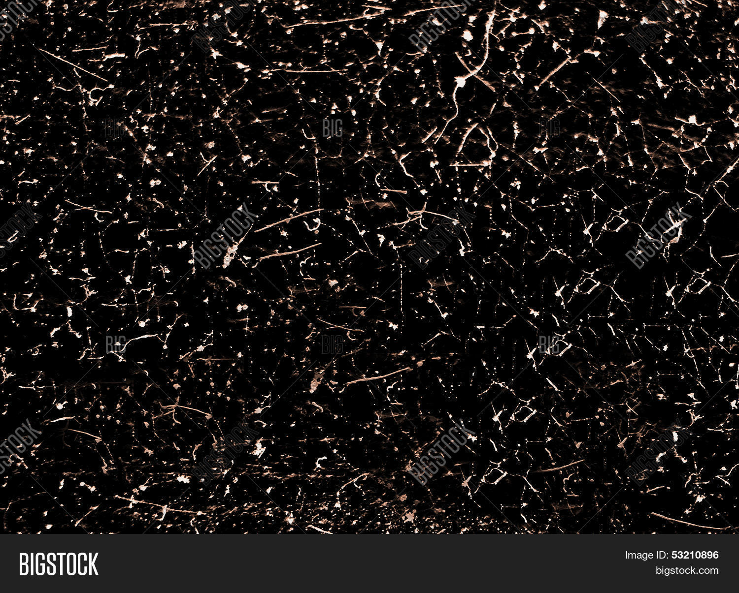 Web Spider Texture Image & Photo (Free Trial) | Bigstock