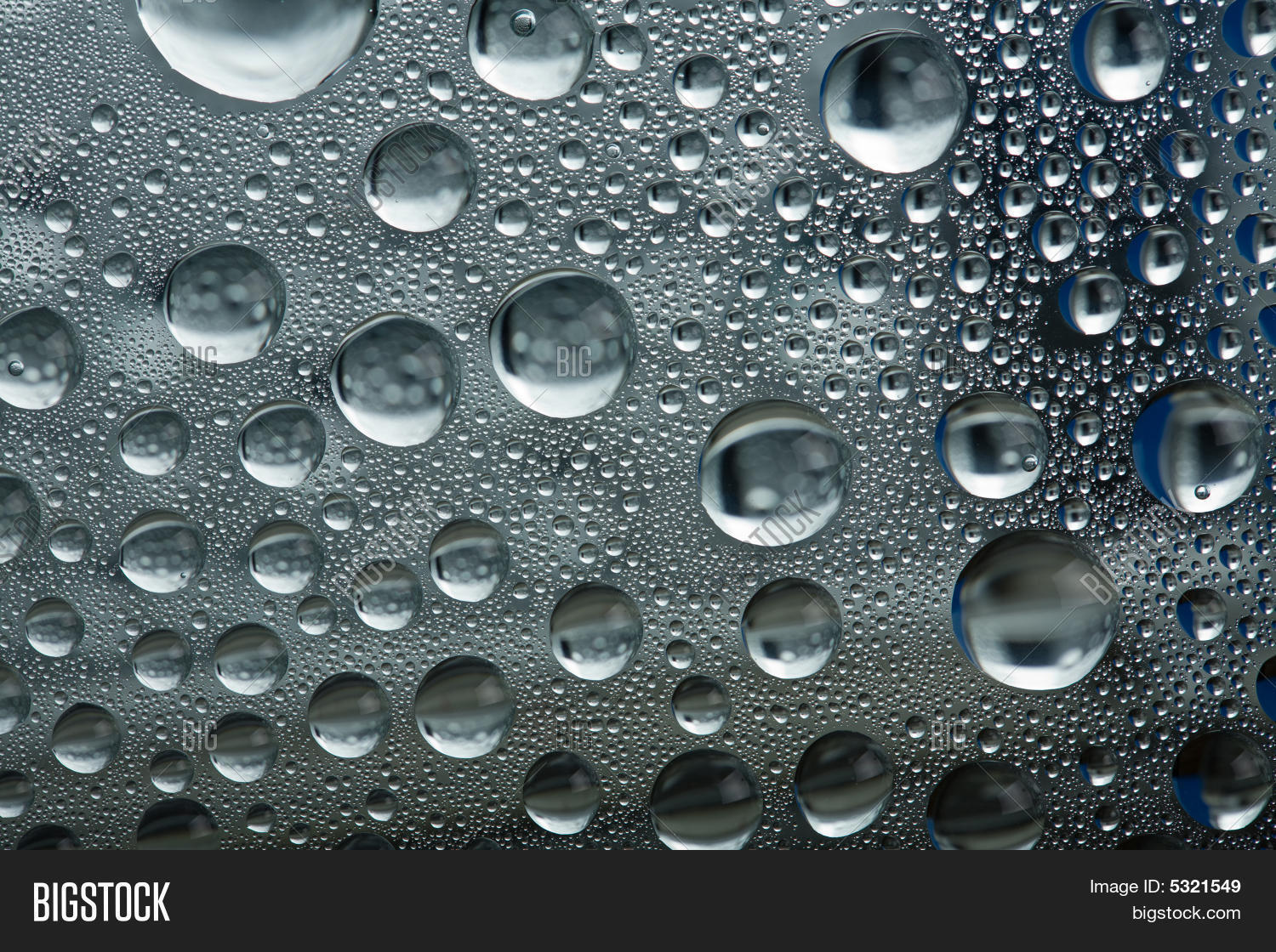 Grey Water Drops Image & Photo (Free Trial) | Bigstock