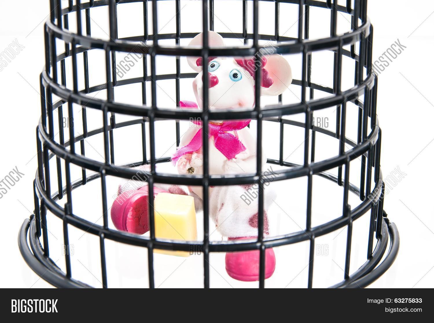 Mouse Cheese Image & Photo (Free Trial) | Bigstock