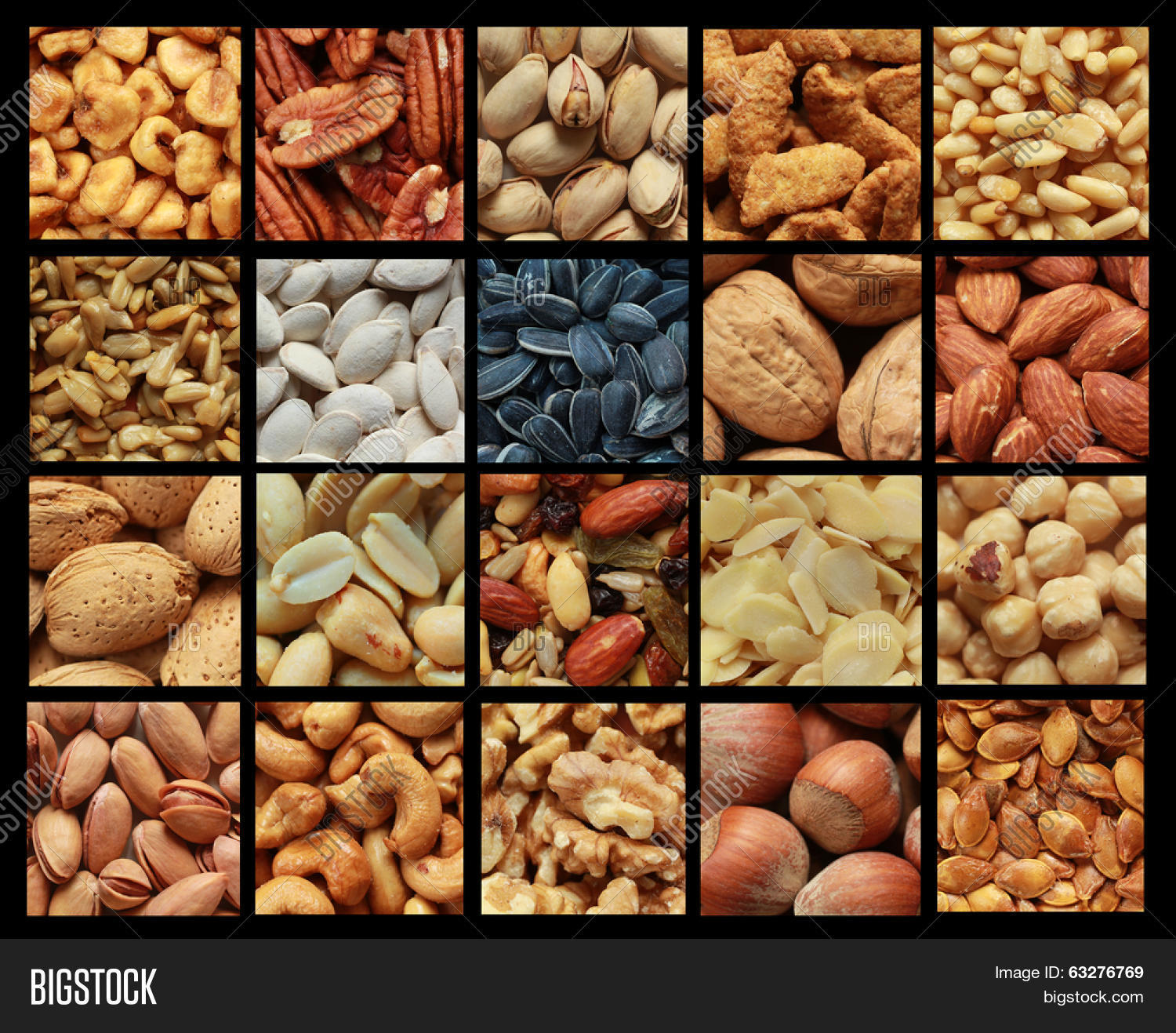 Collage Showing Image & Photo (Free Trial) | Bigstock