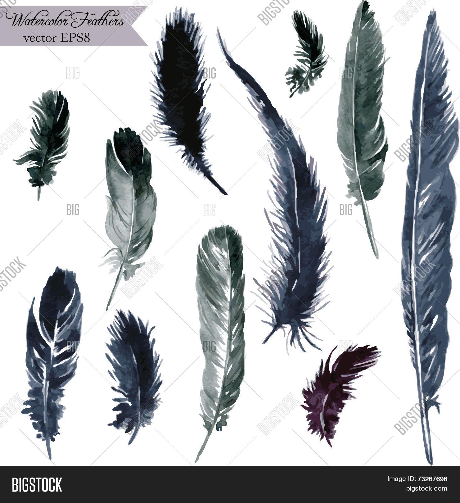 Set Plumes Vector & Photo (Free Trial) | Bigstock