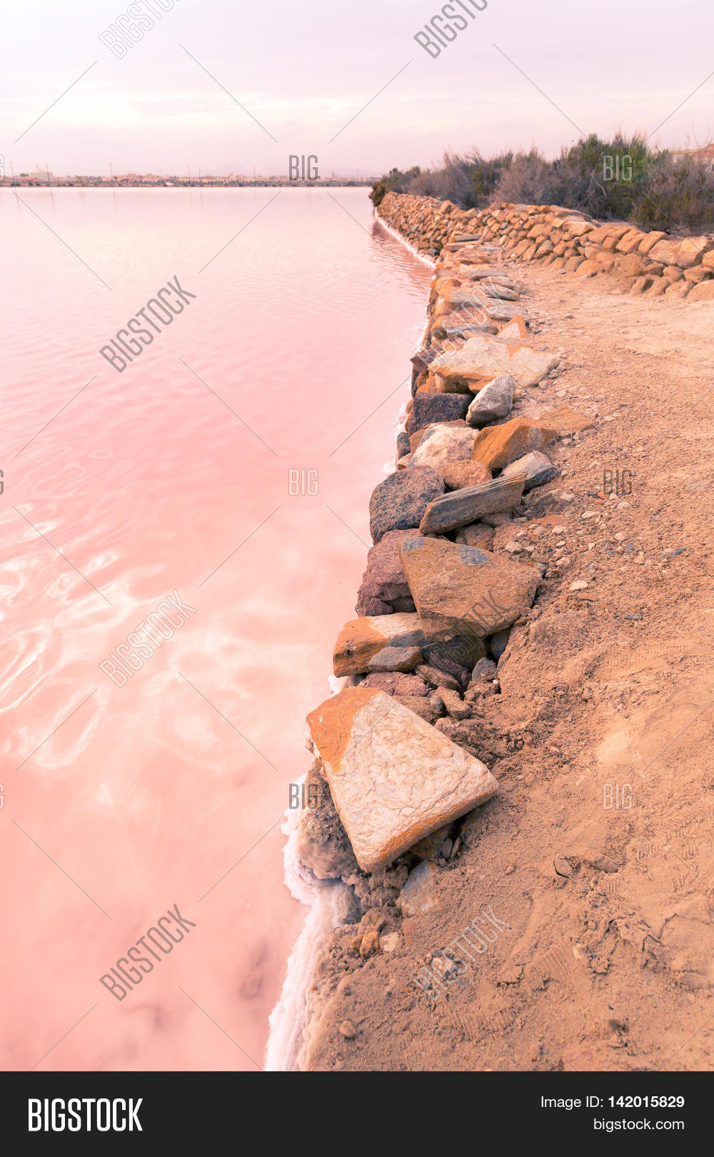 Pink Salt Lake - Image & Photo (Free Trial) | Bigstock