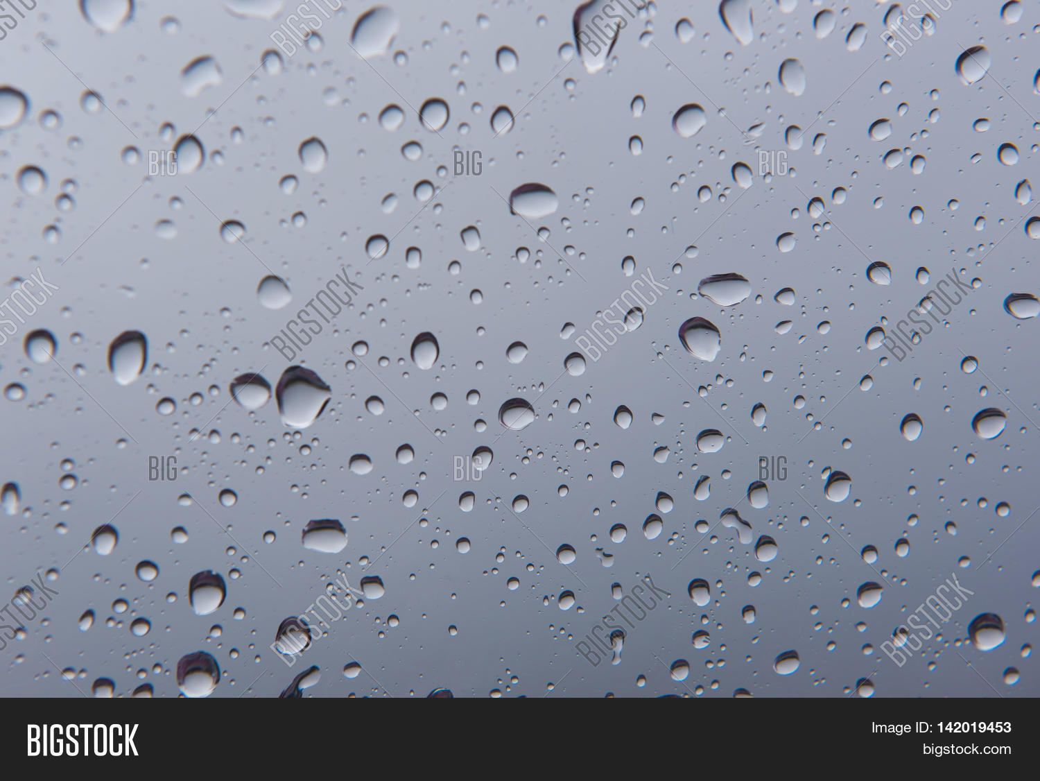 Rain Water Drops Image & Photo (Free Trial) | Bigstock