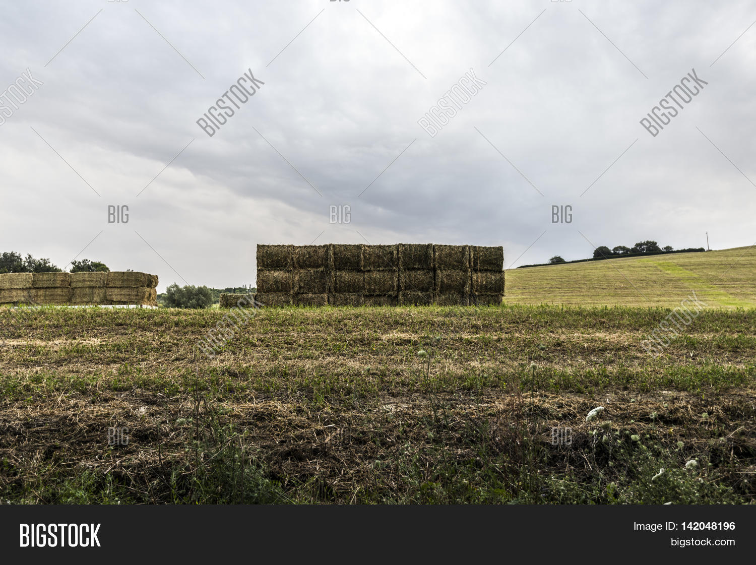 Hay Straw Bales Piles Image & Photo (Free Trial) | Bigstock