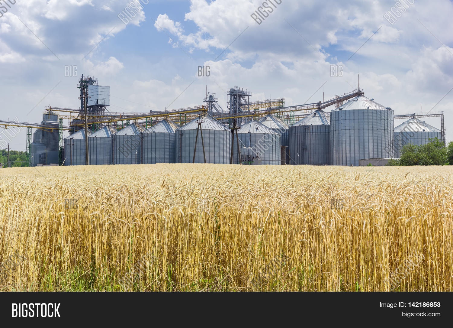 Grain Storage System Image & Photo (Free Trial) | Bigstock