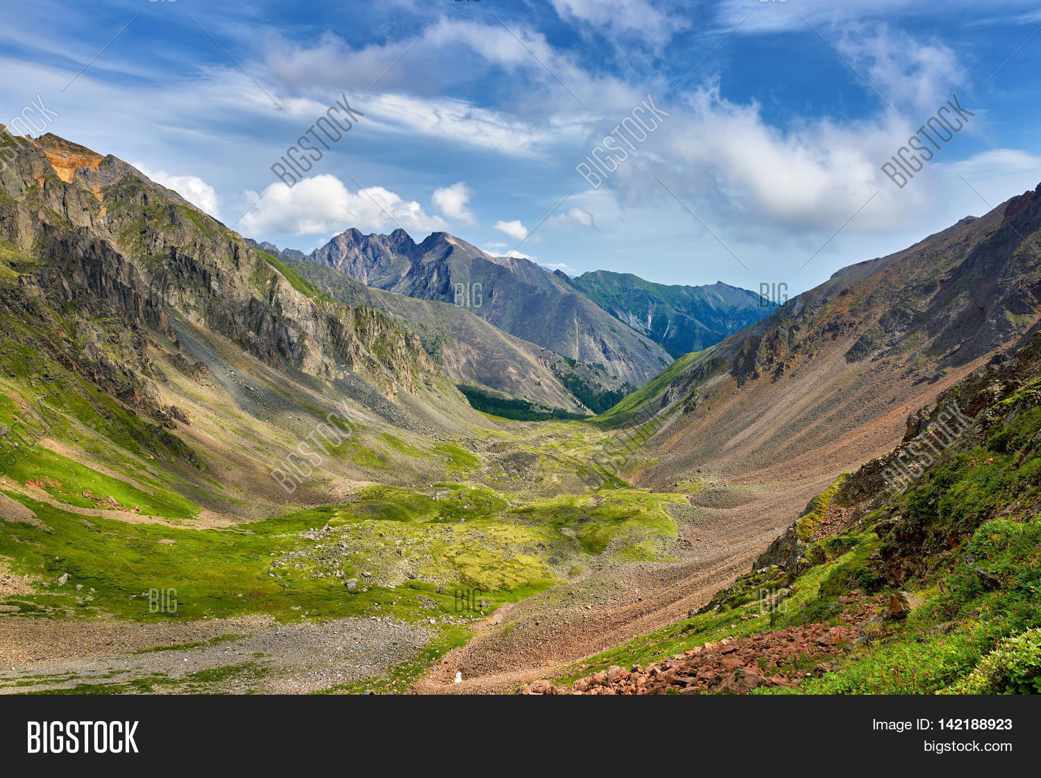 Green Alpine Meadows Image & Photo (Free Trial) | Bigstock