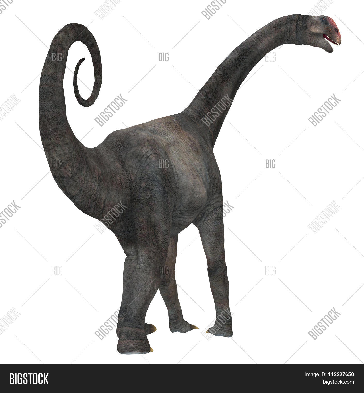 Brontomerus Dinosaur Image & Photo (Free Trial) | Bigstock