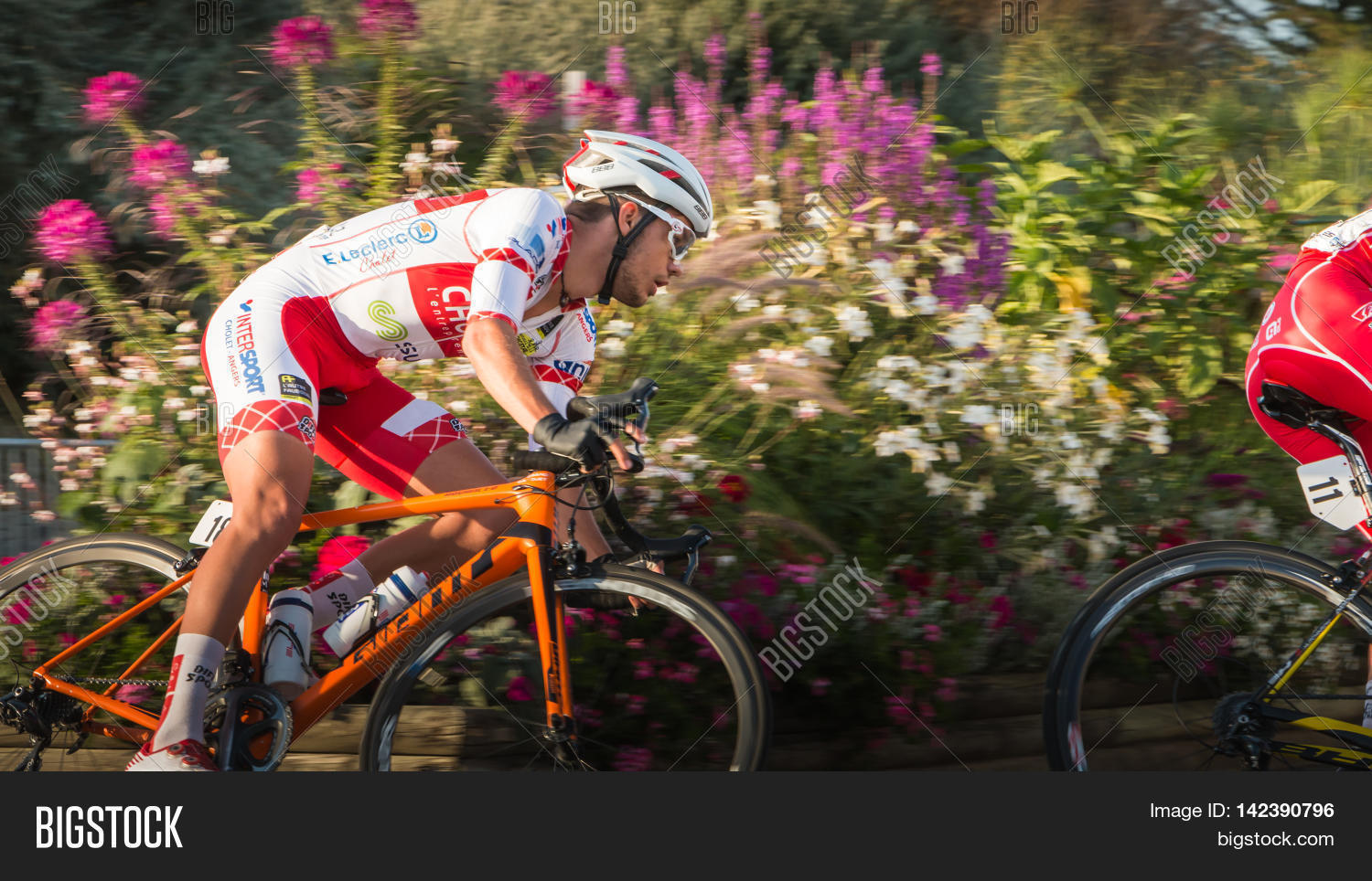 Professional Cyclist Image & Photo (Free Trial) | Bigstock