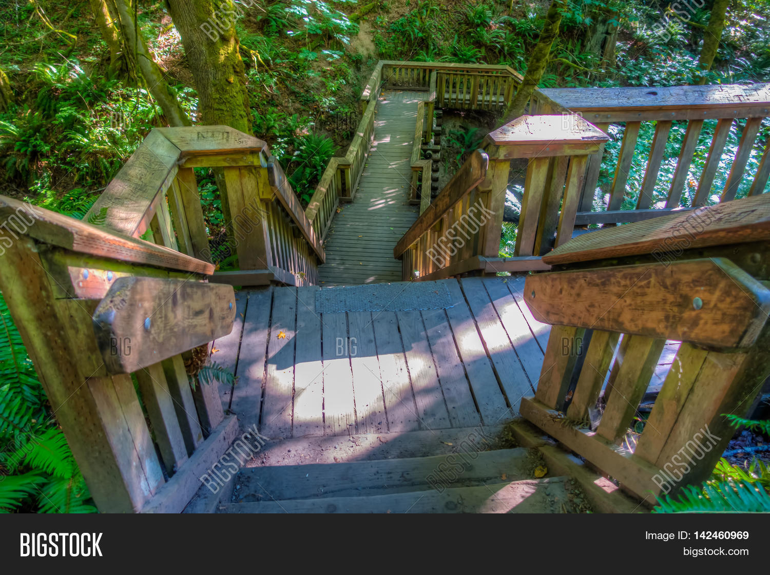 View Above Wooden Image & Photo (Free Trial) | Bigstock