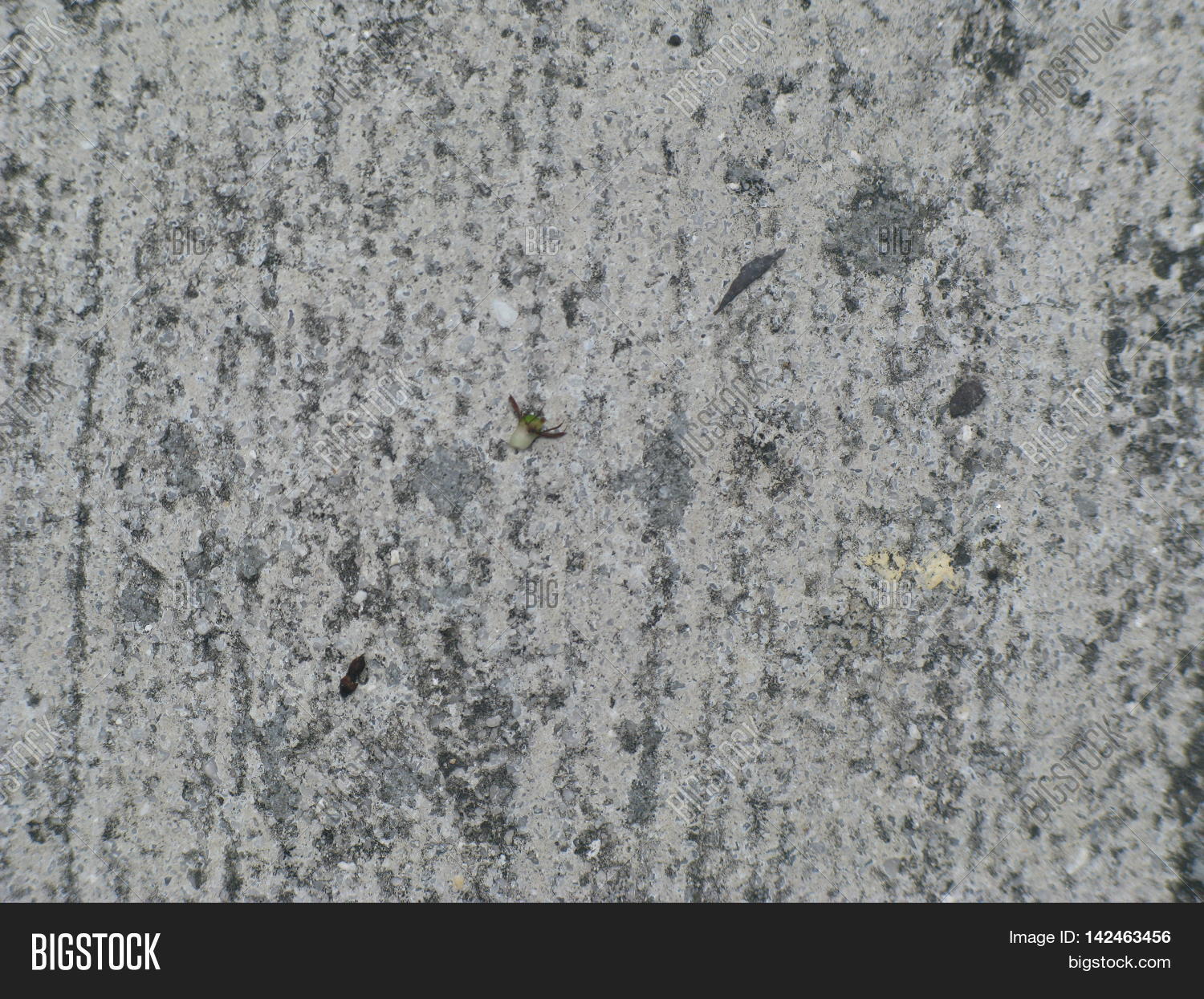 Dirty Lined Concrete Image & Photo (Free Trial) | Bigstock