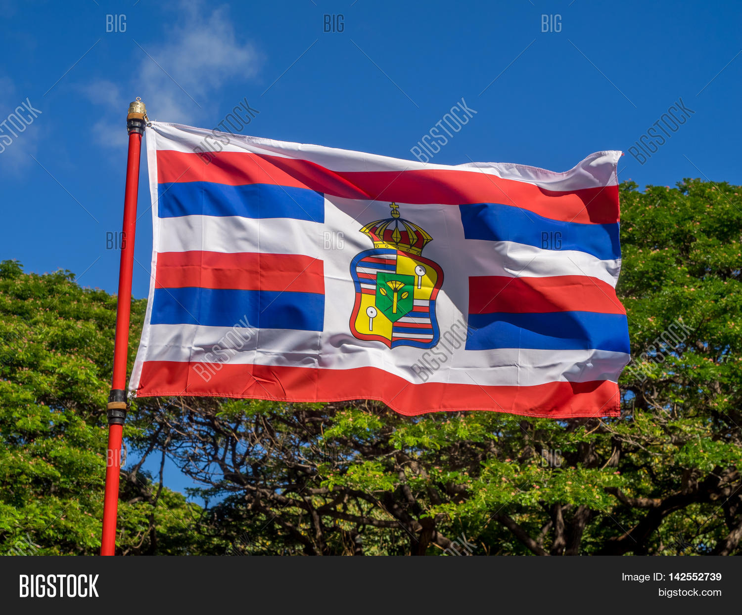 Personal Standard Flag Image & Photo (Free Trial) | Bigstock