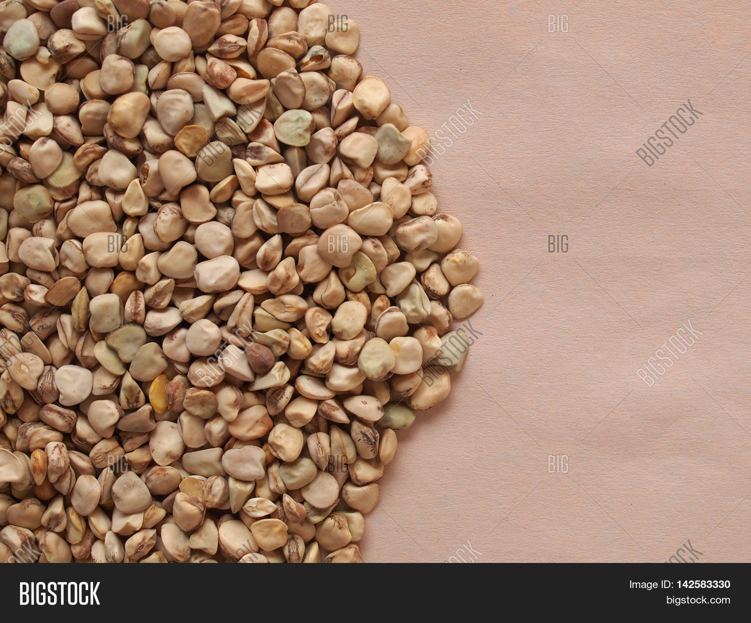 Grass Pea (Lathyrus Image & Photo (Free Trial) | Bigstock