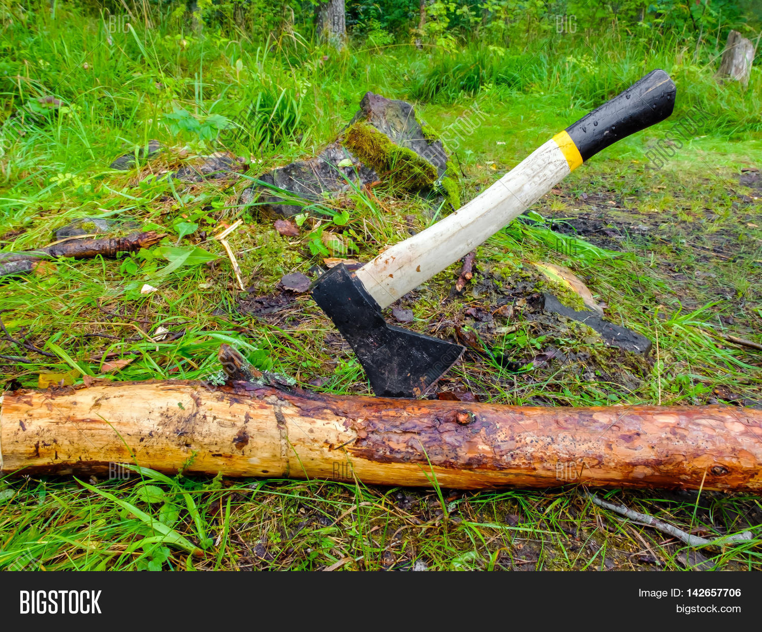 Axe Felling Trees. Image & Photo (Free Trial) | Bigstock