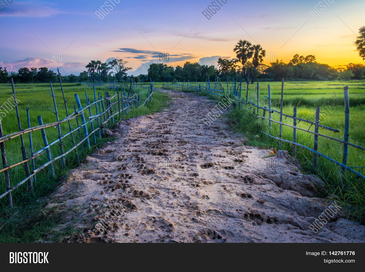 Landscape Soil Road Image & Photo (Free Trial) | Bigstock