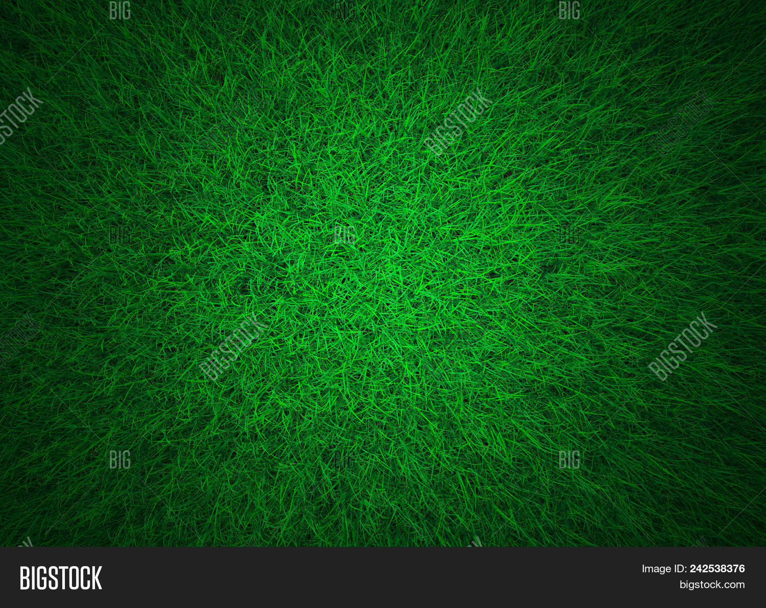 Green Grass, Natural Image & Photo (Free Trial) | Bigstock