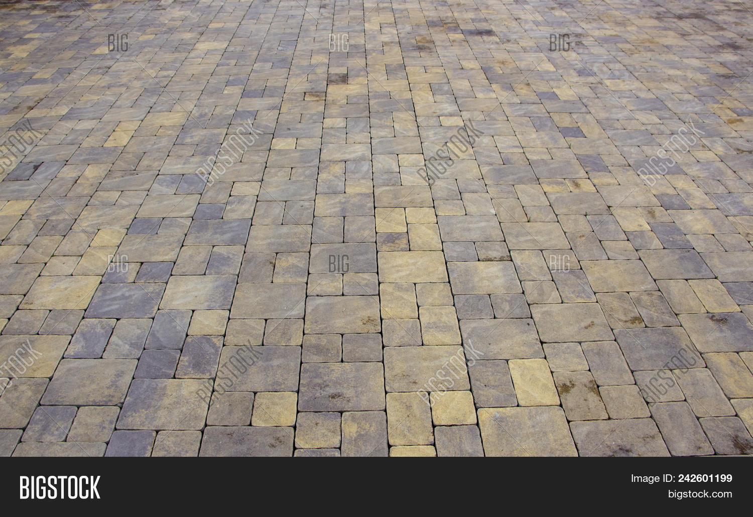 Sample Concrete Paving Image & Photo (Free Trial) | Bigstock