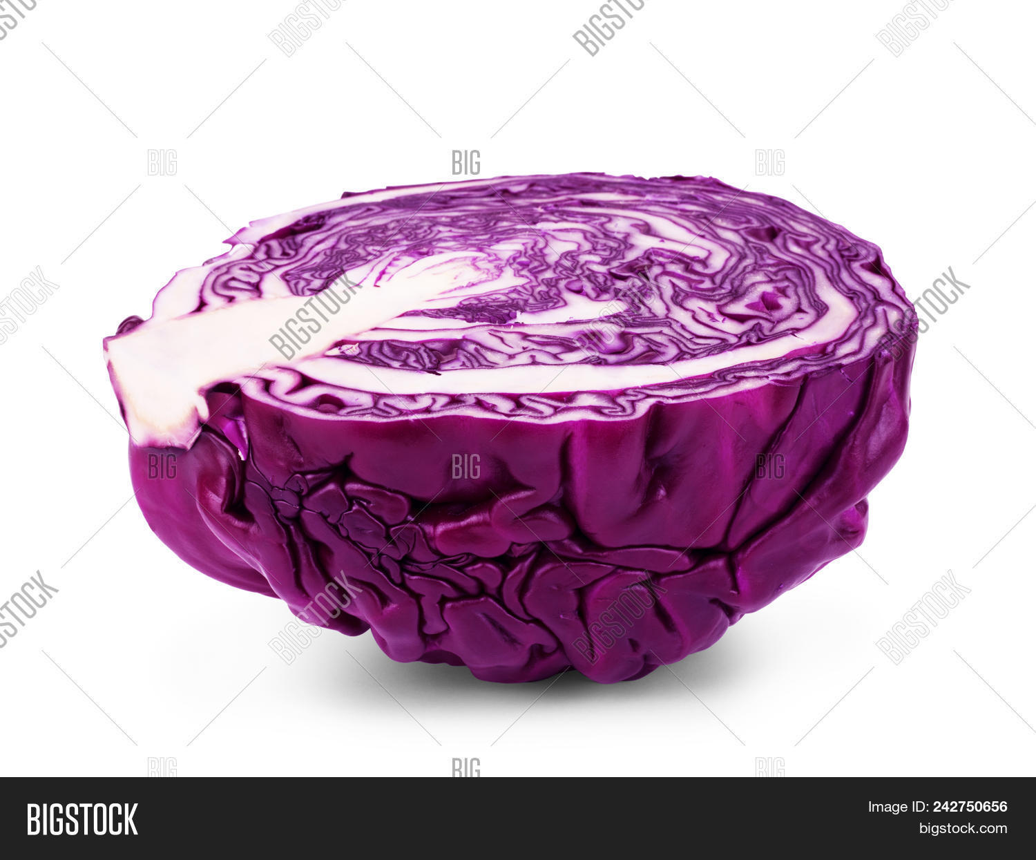 Red Cabbage One Slice Image & Photo (Free Trial) | Bigstock
