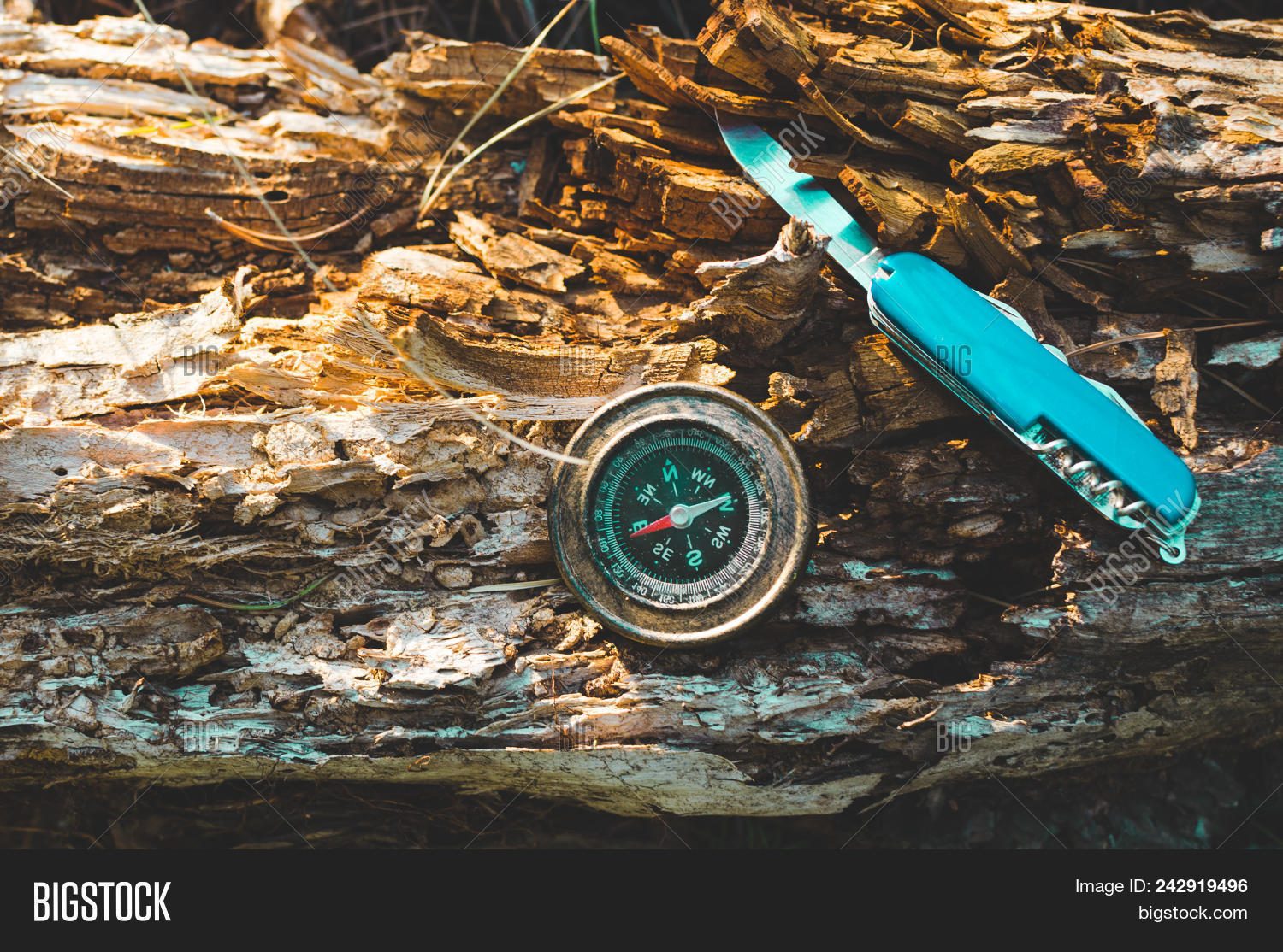 Compass Survival Knife Image & Photo (Free Trial) | Bigstock