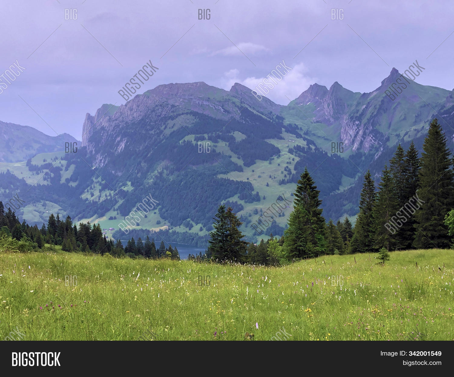 Alpine Pastures Image & Photo (Free Trial) | Bigstock