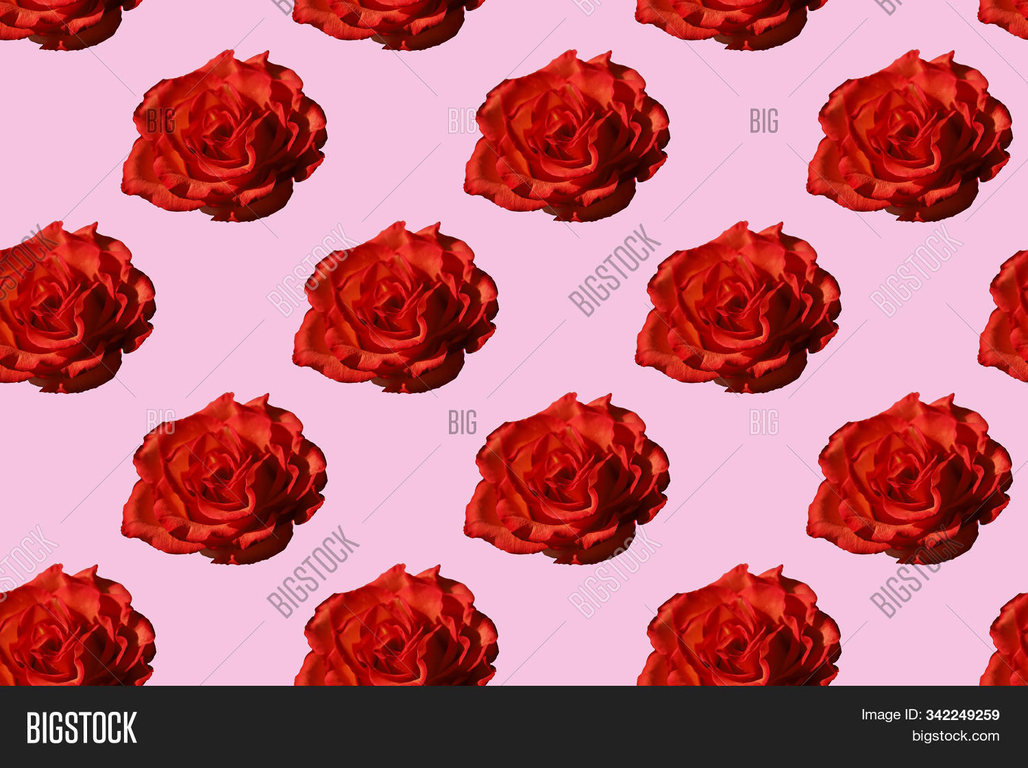 Seamless Roses Pattern Image & Photo (Free Trial) | Bigstock