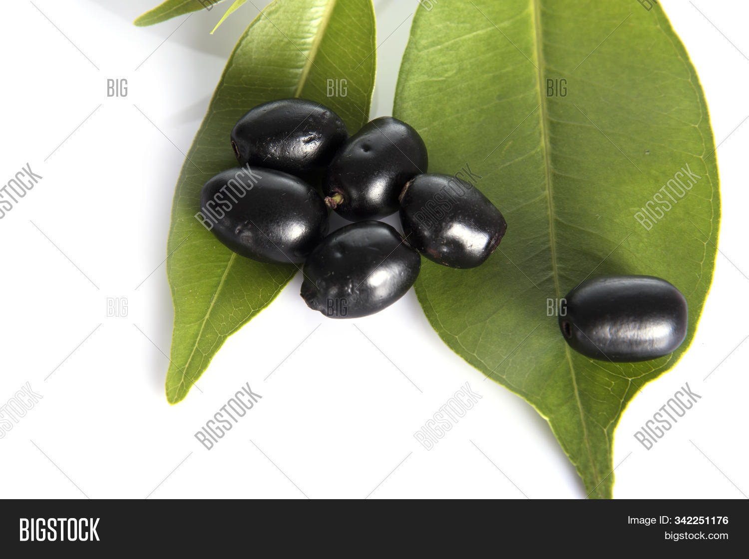 Jambolan Plum Java Image & Photo (Free Trial) | Bigstock